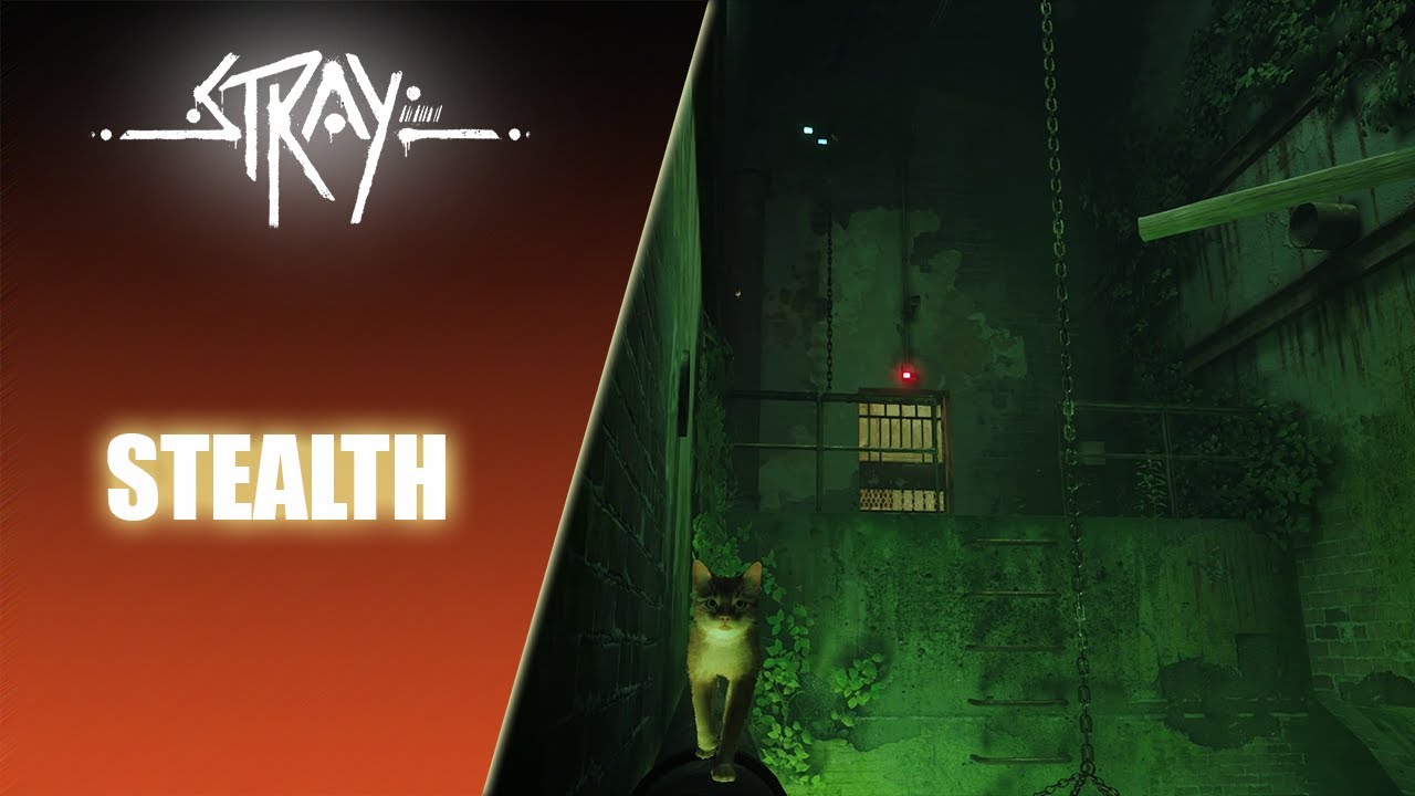 Stray - Stealth🎵 - YouTube