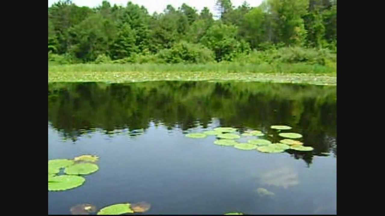 Algoe Lake - YouTube