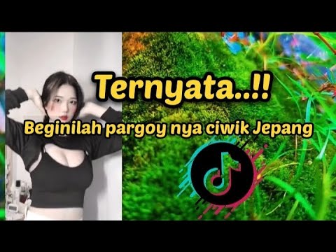 Tiktok pargoy ciwik-ciwik jepang