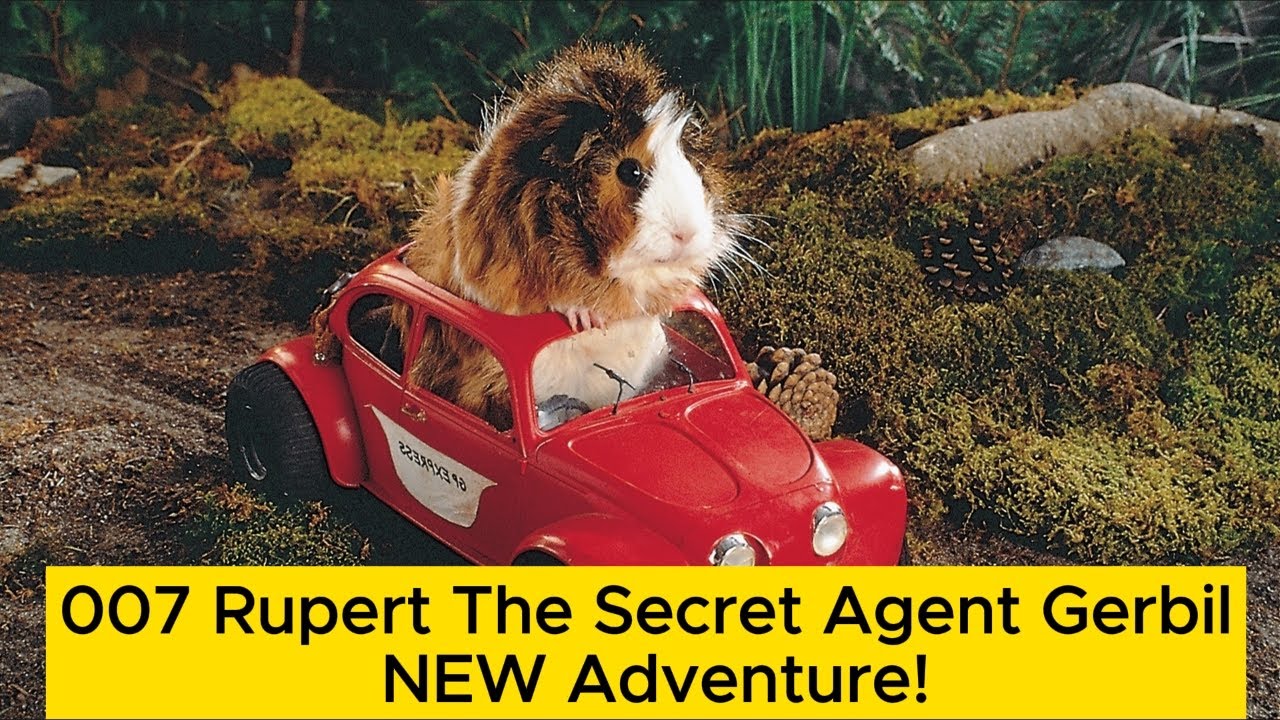 007 Rupert The Secret Agent Gerbil's NEW Adventure. - YouTube