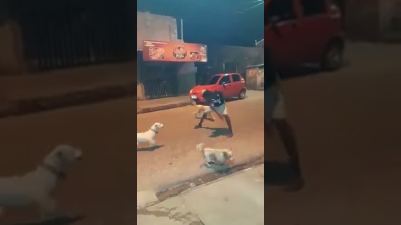 Neo Vs. Agent Dog Smith, The Matrix - Poor Mans Edition. 😂 😂 #funny # ...