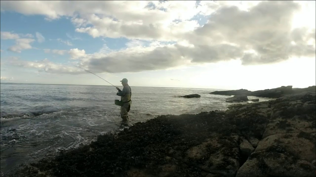 Fly fishing for Scottish Bass - YouTube