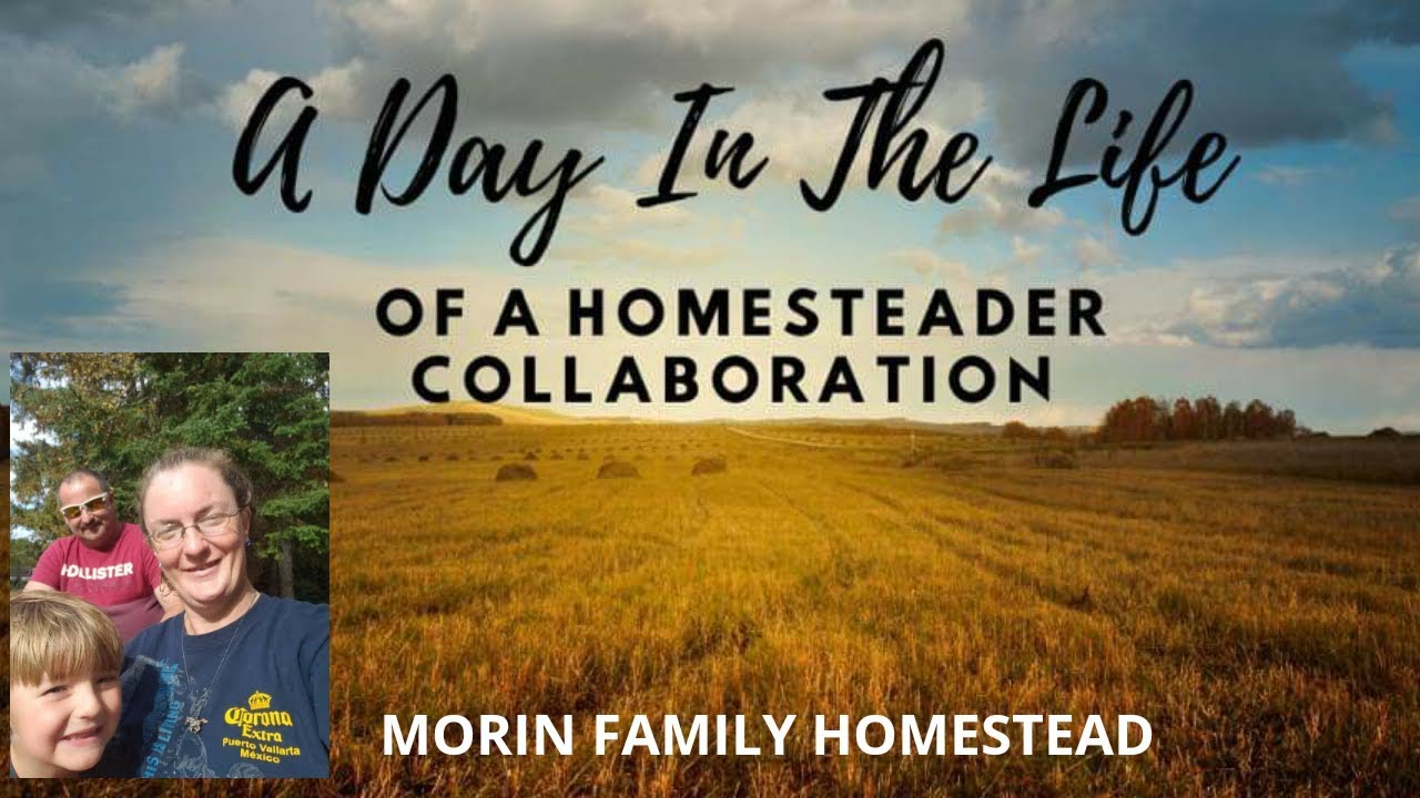 A Day In The Life of a Homesteader | Morin Family Homestead - YouTube