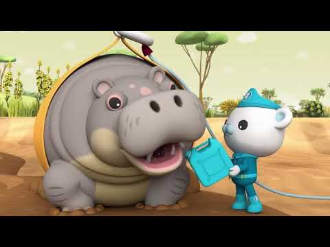 octonauts above and beyond season 5 hippo hydration 26