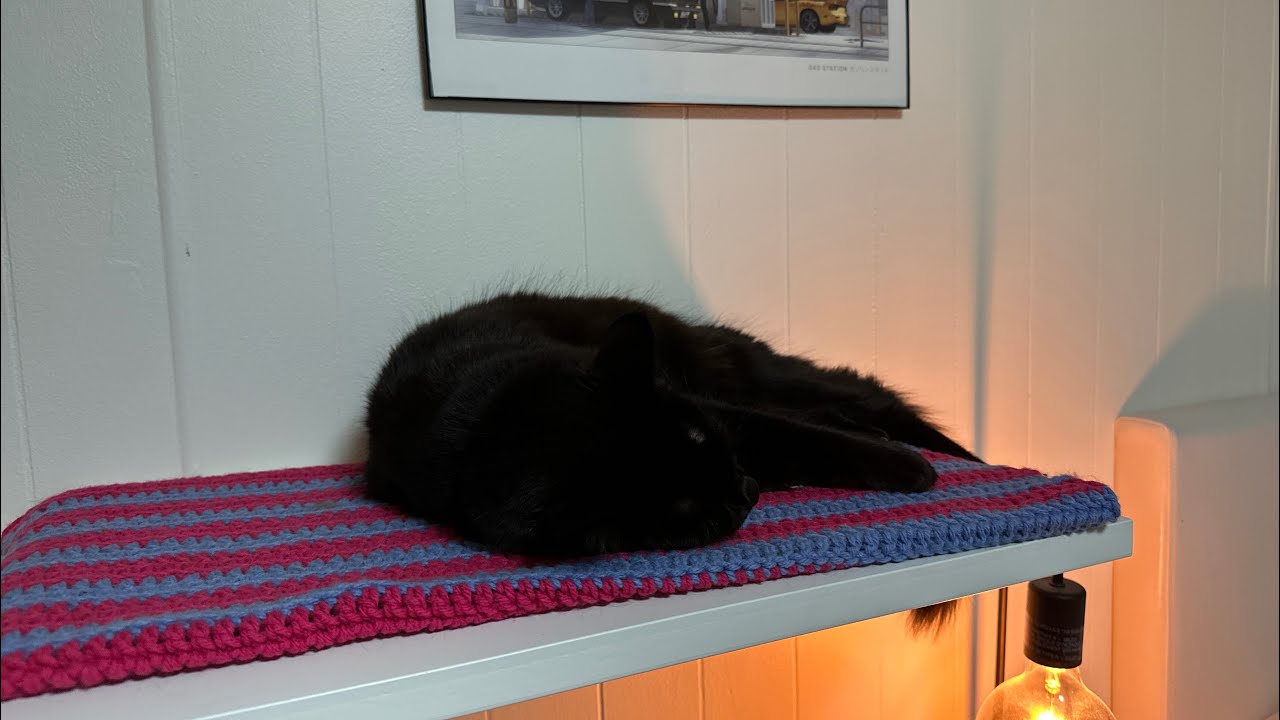 Wat da sigma - YouTube