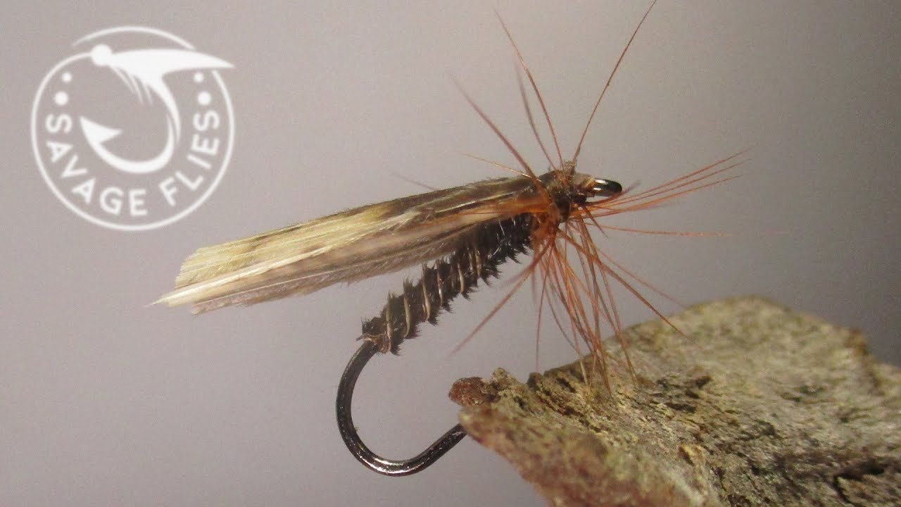 Tying a Tent Wing Caddis (a three material dry fly) - YouTube