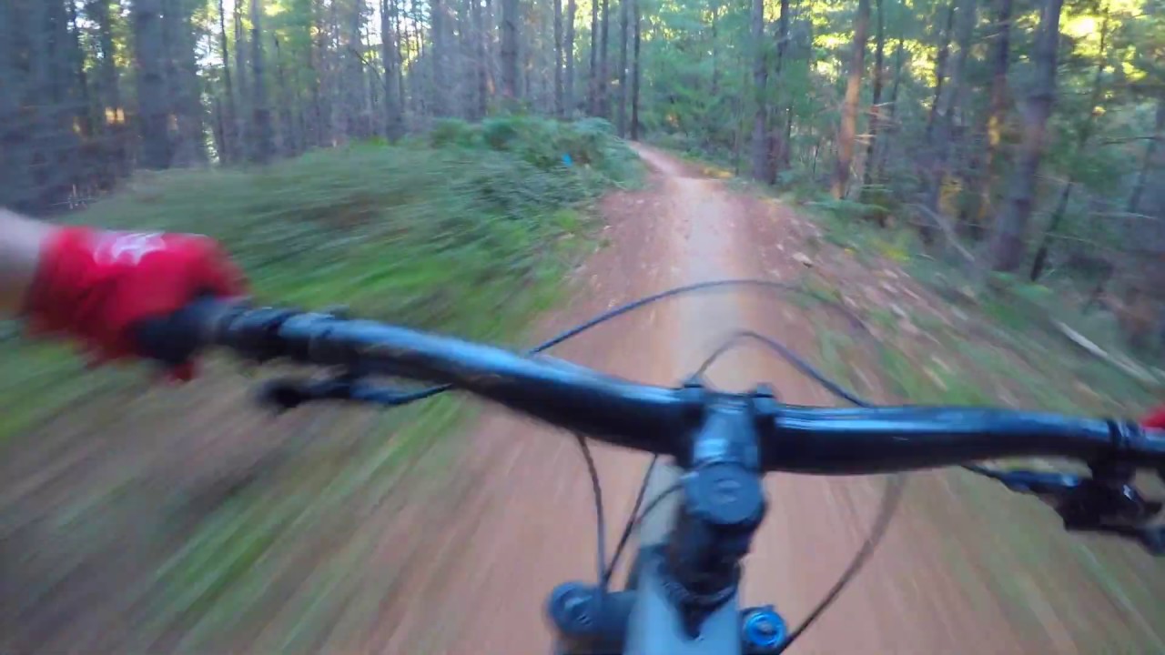 Shred Kelly's | Mystic MTB Park | Bright, Victoria - YouTube