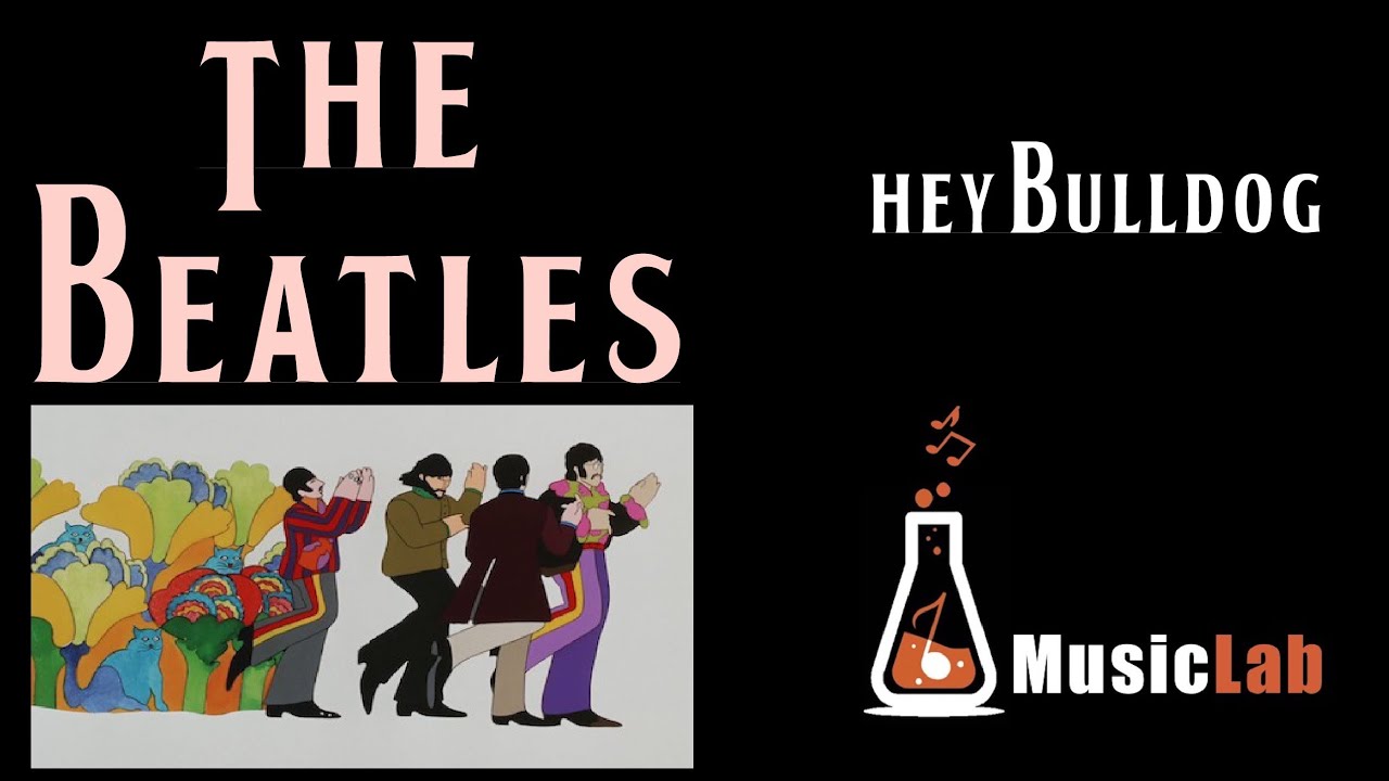 The Beatles - Hey Bulldog (cover) - YouTube