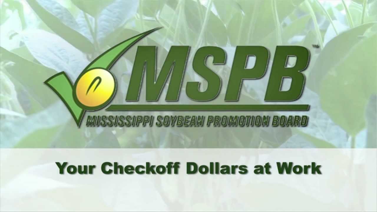 MSPB - Atmospheric Condition Testing - YouTube