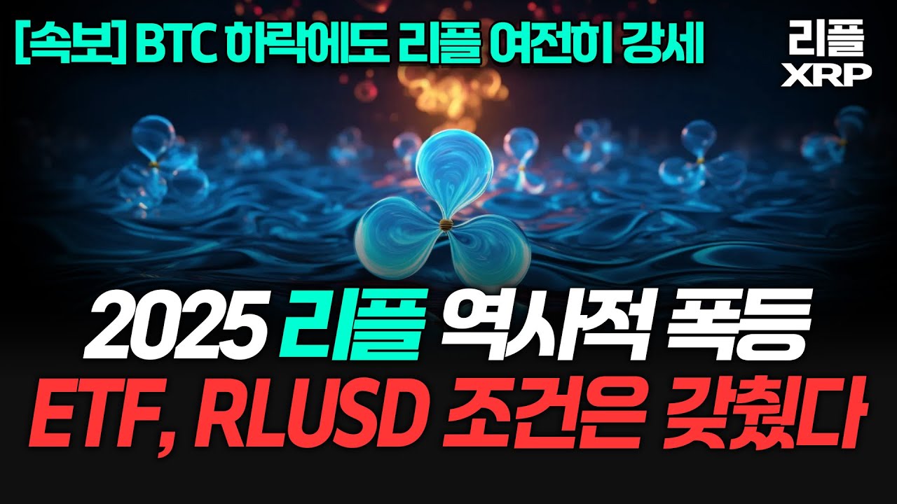 속보 리플의 시간은 이제 시작 2025년 완벽한 비상 준비 완료 리플 Xrp 알트코인 Etf 리플호재 리플