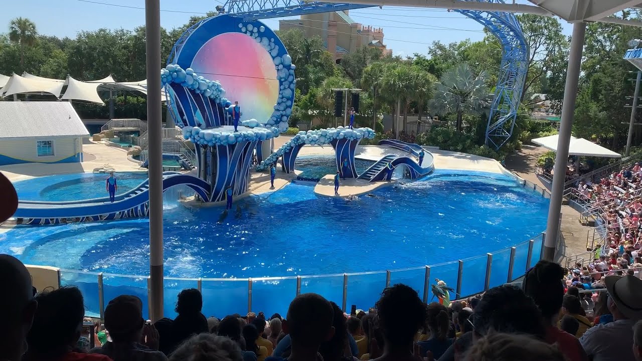 FIRST TIME AT SEAWORLD! | VLOG🇺🇸 - YouTube