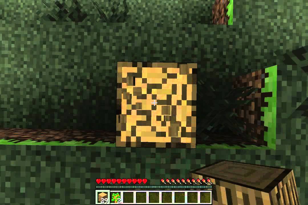 Ep. 1 - Minecraft Lettuce Play - YouTube