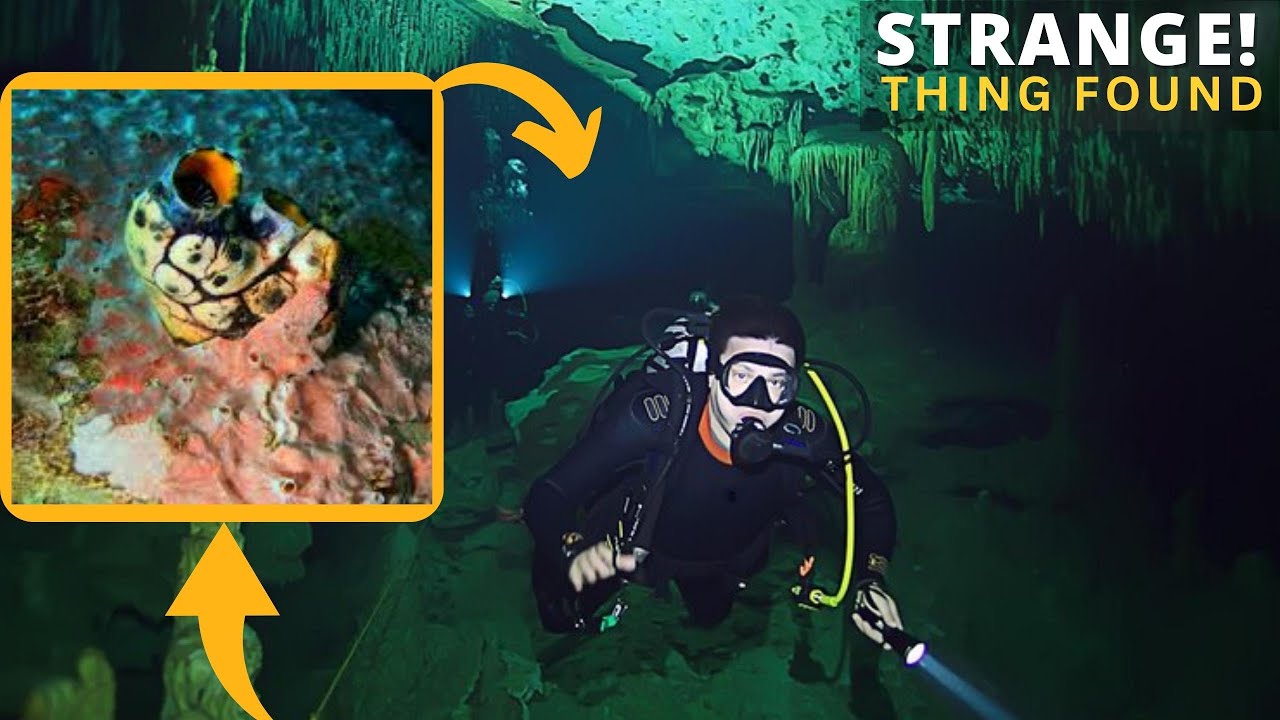 Cave Divers Enter Subterranean 'Portal' to Discover Lost American Land ...