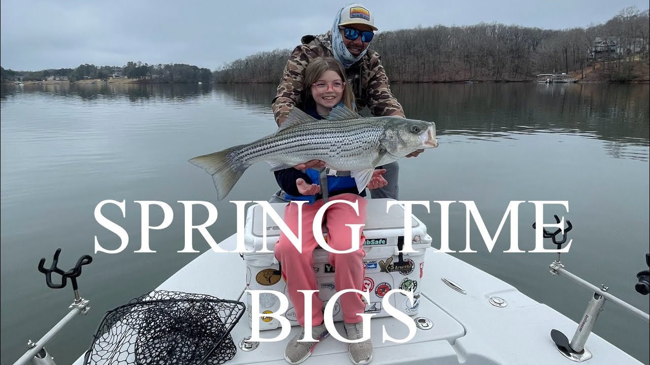 3 early Spring Striper tactics on Lake Lanier. Live bait, topwater ...