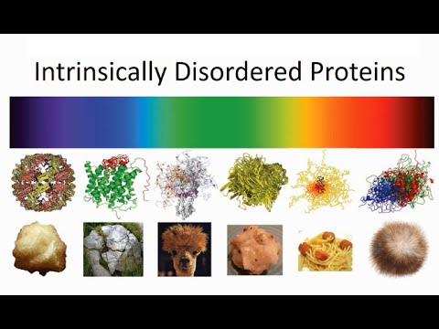 Protein Science: Making sense of intrinsic disorder when PDB structures ...