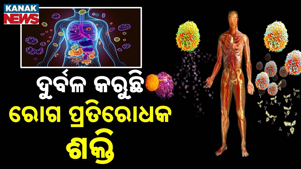 Understanding Autoimmune Diseases: When the Body Attacks Itself - YouTube
