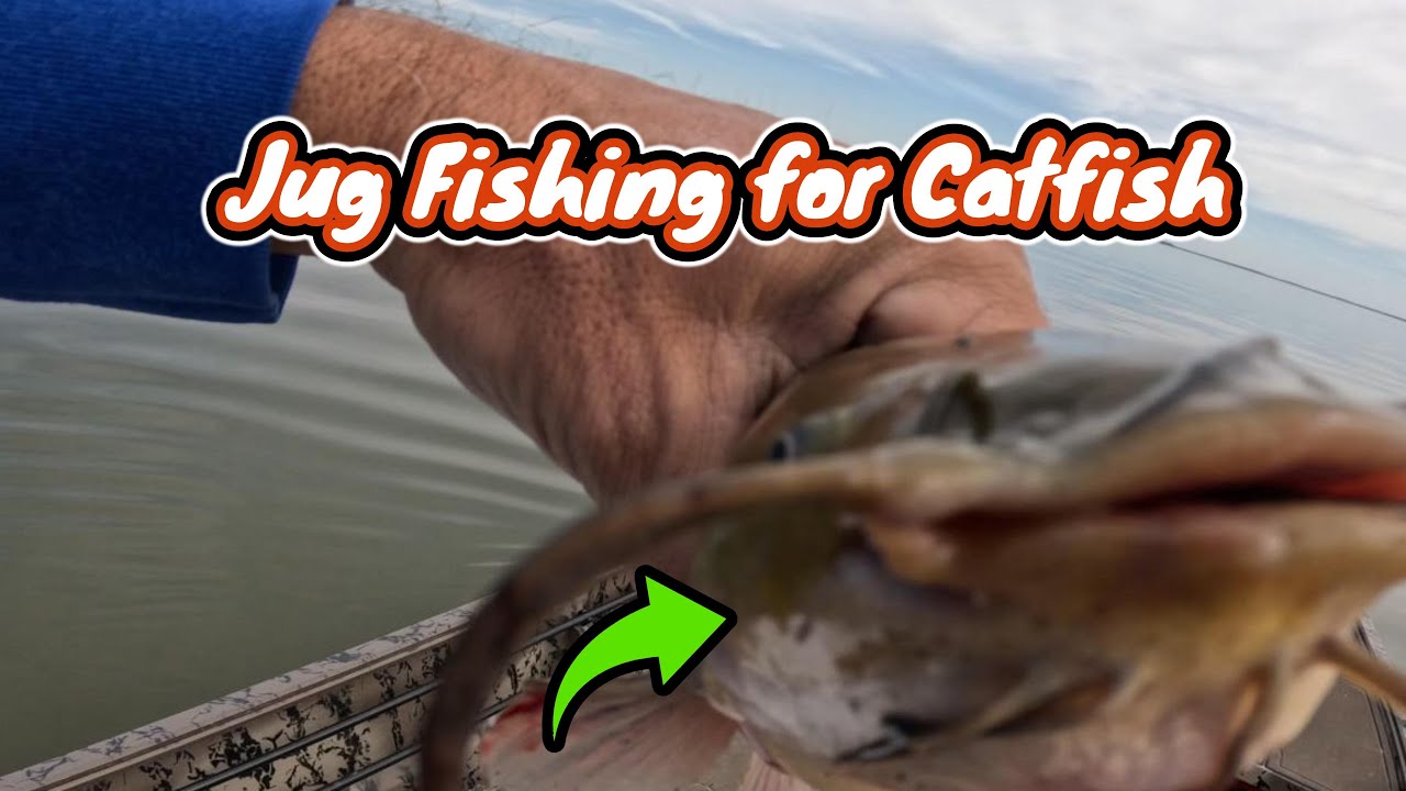 Jug Fishing for Catfish!! - YouTube
