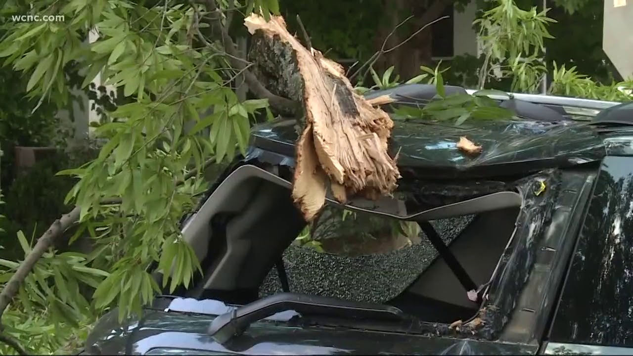 Large tree branch crushes moving car with mom and two kids inside - YouTube