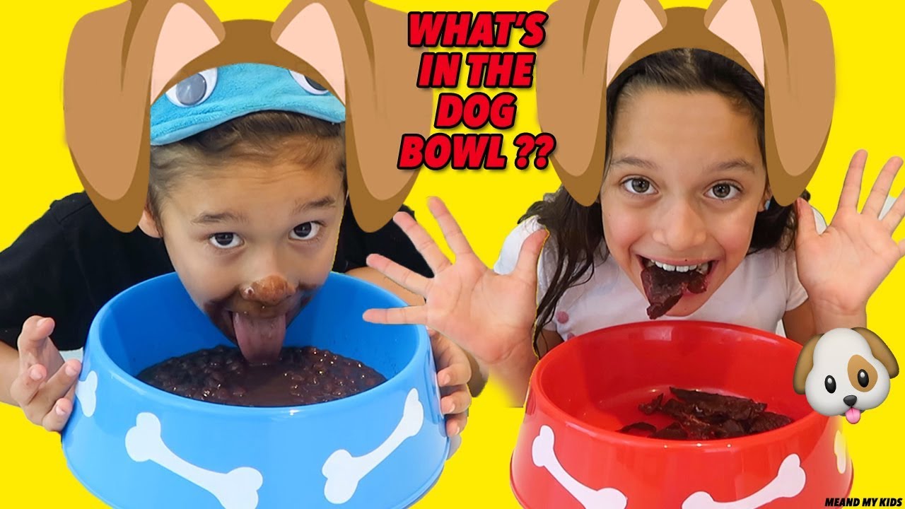 WHAT'S IN THE DOG BOWL - Blindfold Challenge - YouTube
