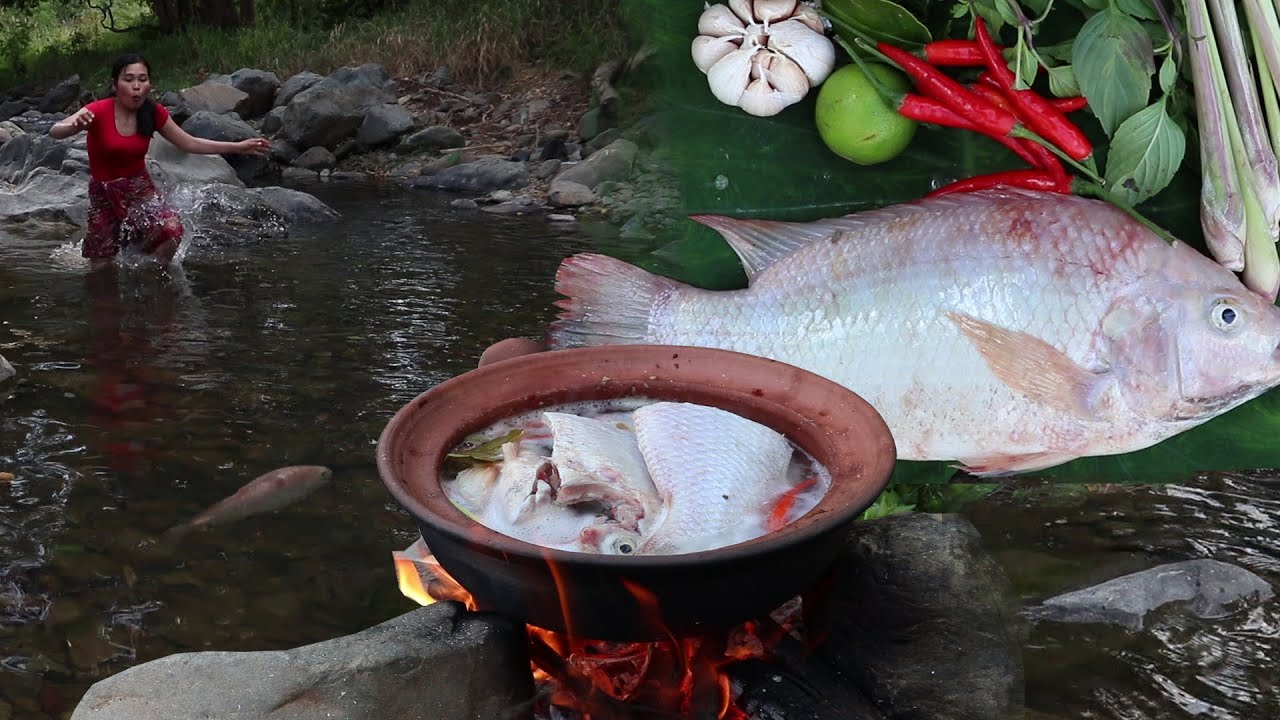 Find and catch fish cook food in the wild - Cook fish Taste delicious ...