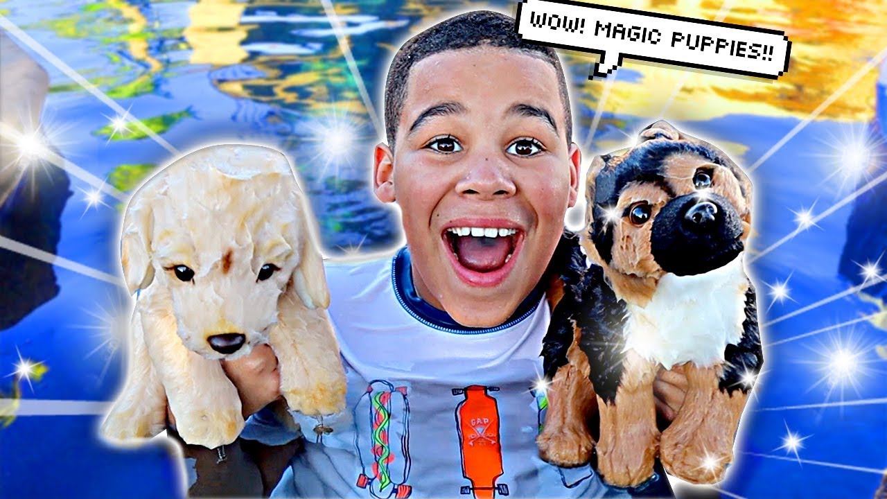 Magic Puppy Swimming Rescue Mission | FamousTubeKIDS - YouTube