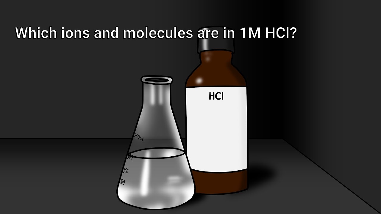 Which ions and molecules are in 1M HCl? - YouTube