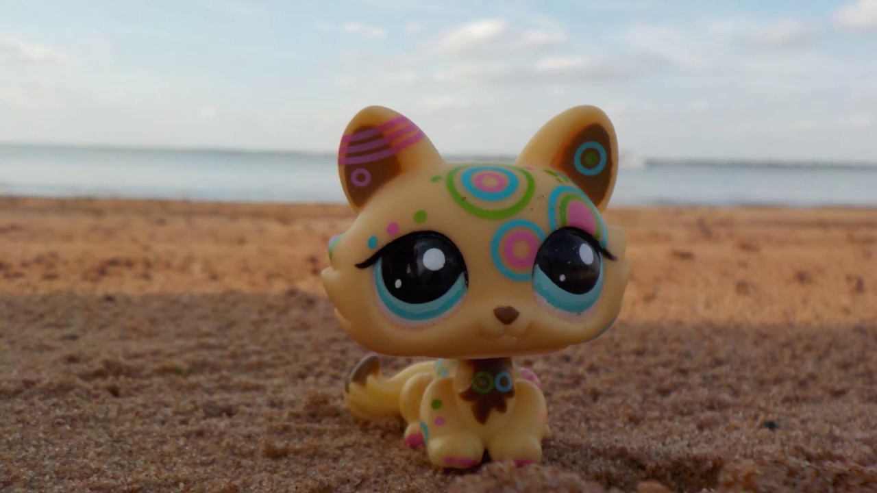 Lps: BEACH WAVES Picture Adventure! - YouTube