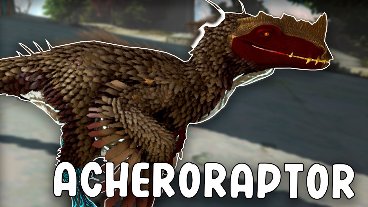 COMO TAMEAR ACHERORAPTOR Y TODAS SUS HABILIDADES - ARK: PREHISTORIC ...