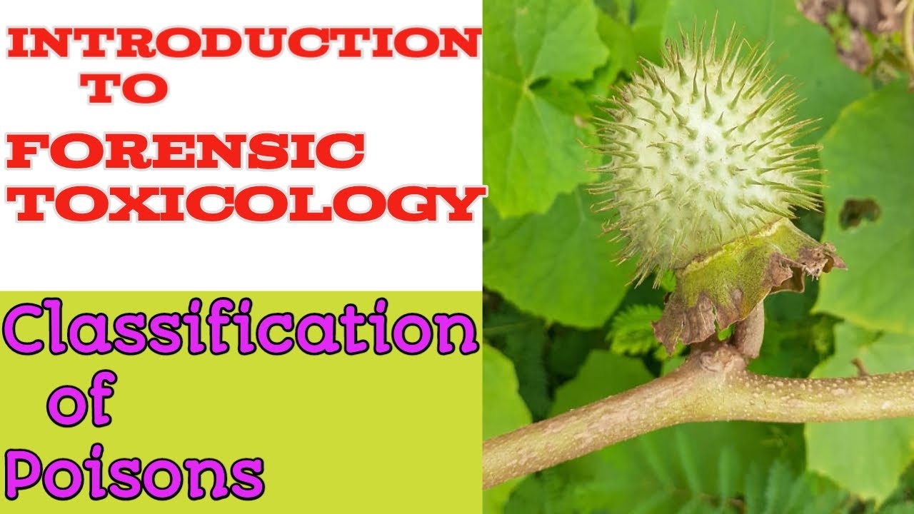 Introduction to Forensic Toxicology |Classification of Poisons. - YouTube