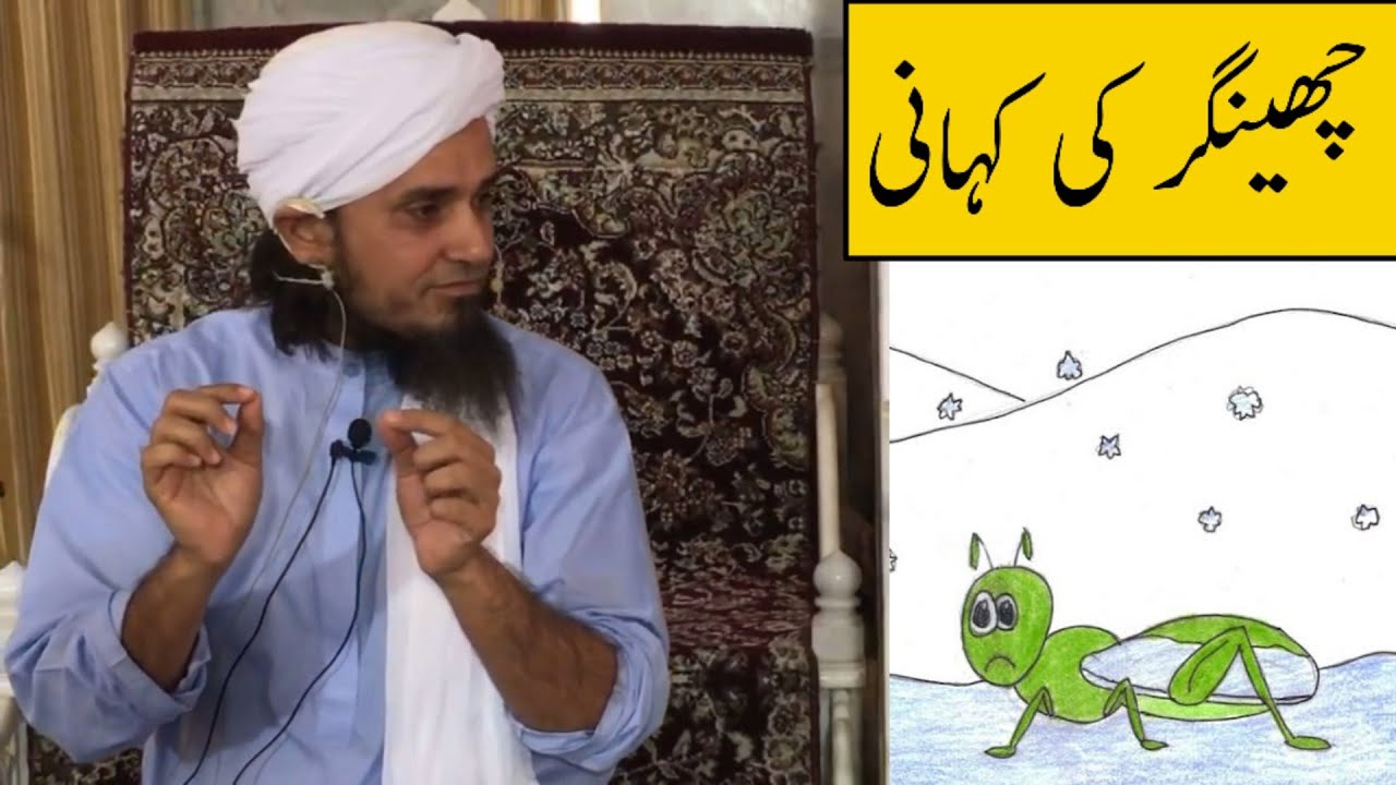 Jheengar Ki Kahani (Mufti Tariq Masood) - YouTube