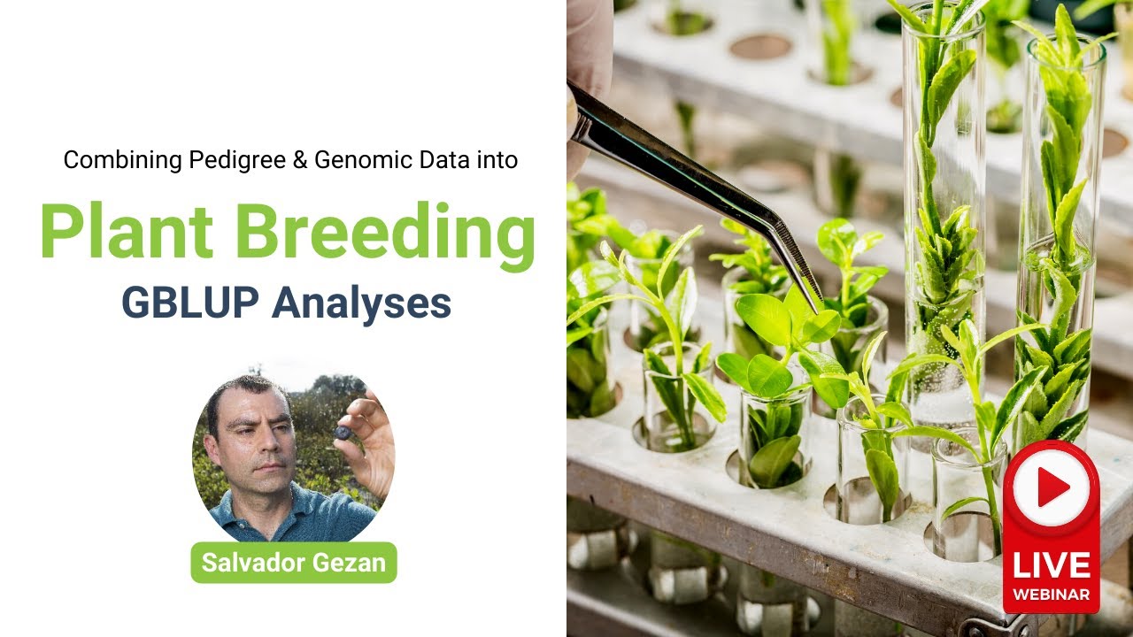 Combining Pedigree and Genomic Data into Plant Breeding GBLUP Analyses ...