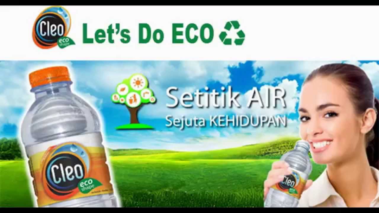 Air Cleo Logo