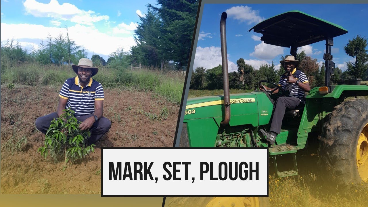 The Art of Ploughing in Africa and Farm preparation 2024 - YouTube