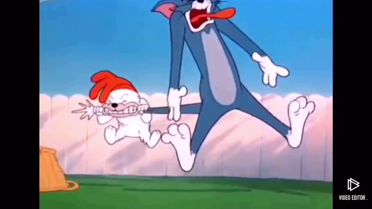 Tom and Jerry Tom’s Screams - YouTube