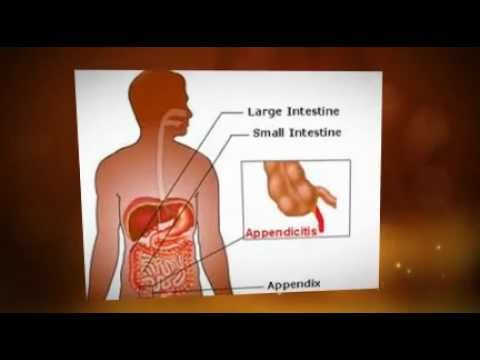 What Does The Appendix Do, Explained! - YouTube