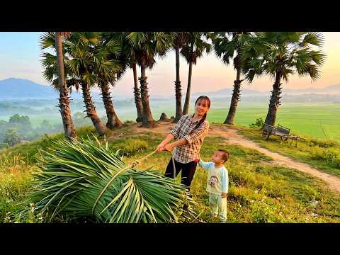 Build a bamboo house in the forest.,The single mother is building a new life.