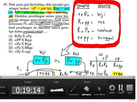 Penyimpangan Mendel & Atavisme - YouTube