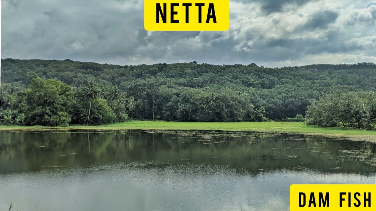 NETTA KANYAKUMARI NAGERCOIL TAMILNADU TOURIST PLACE CHITTAR DAM DAM ...