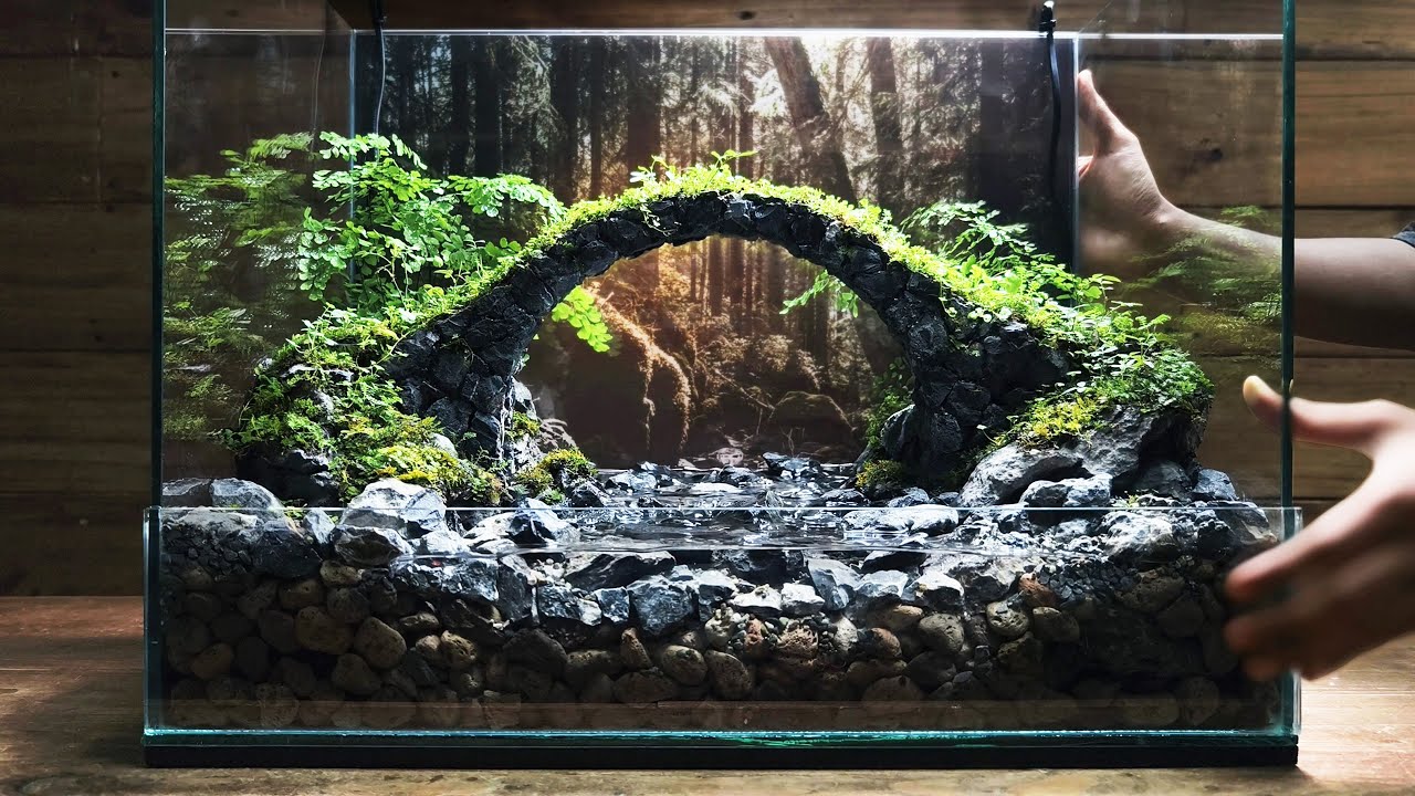 Discover the Secrets of Creating A Mini Forest Bridge | Micro Landscape ...