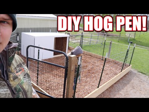 Building a HOG PEN start to FINISH in ONE DAY!!! - YouTube