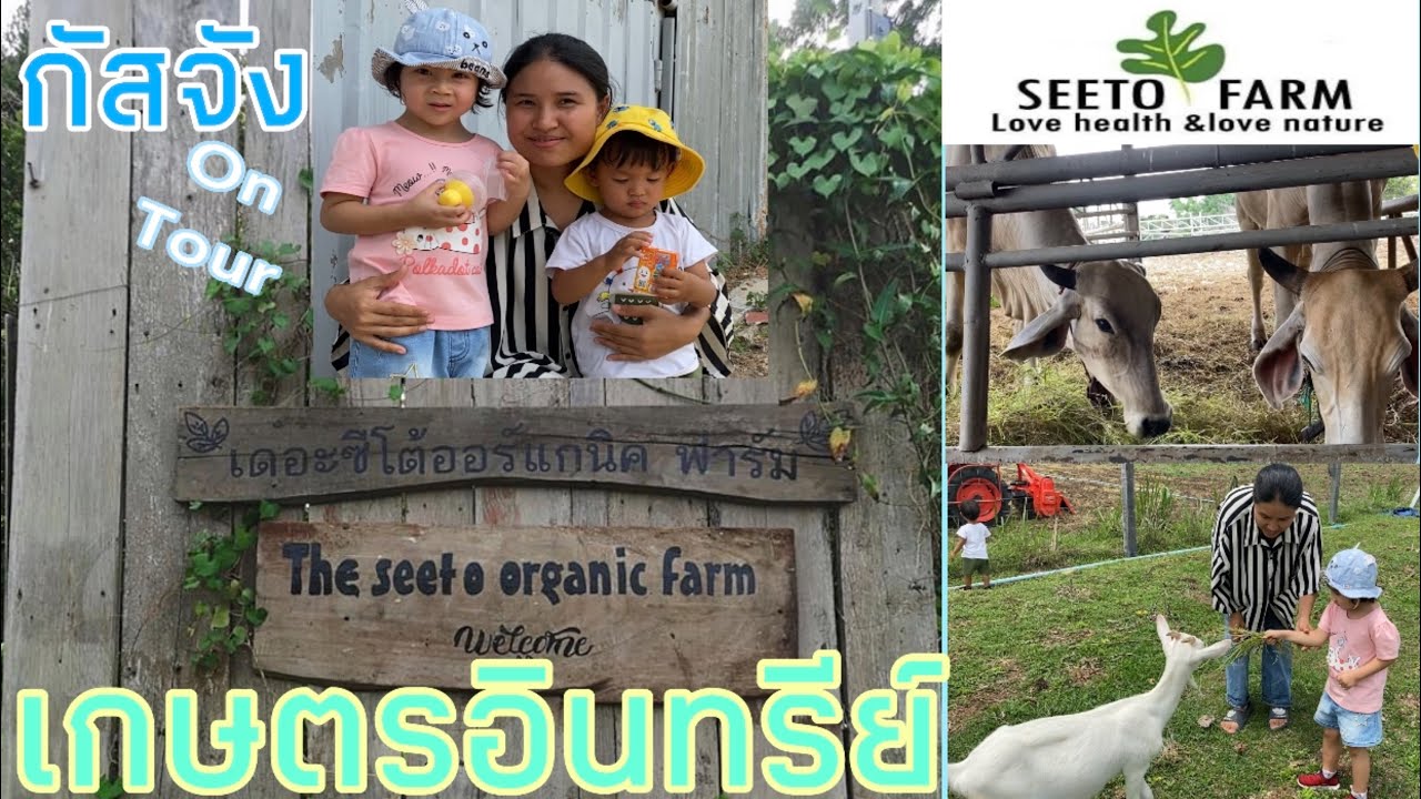 กัสจังชมแปลงเกษตรอินทรีย์ @The seeto eco farm นครสวรรค์ | Gus-Chan with ...