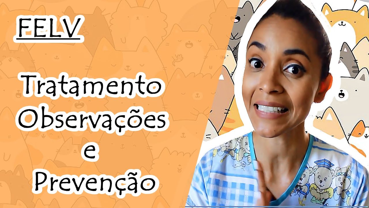 #FELV E SEU TRATAMENTO, OBSERVAÇÕES E PREVENÇÃO. - YouTube