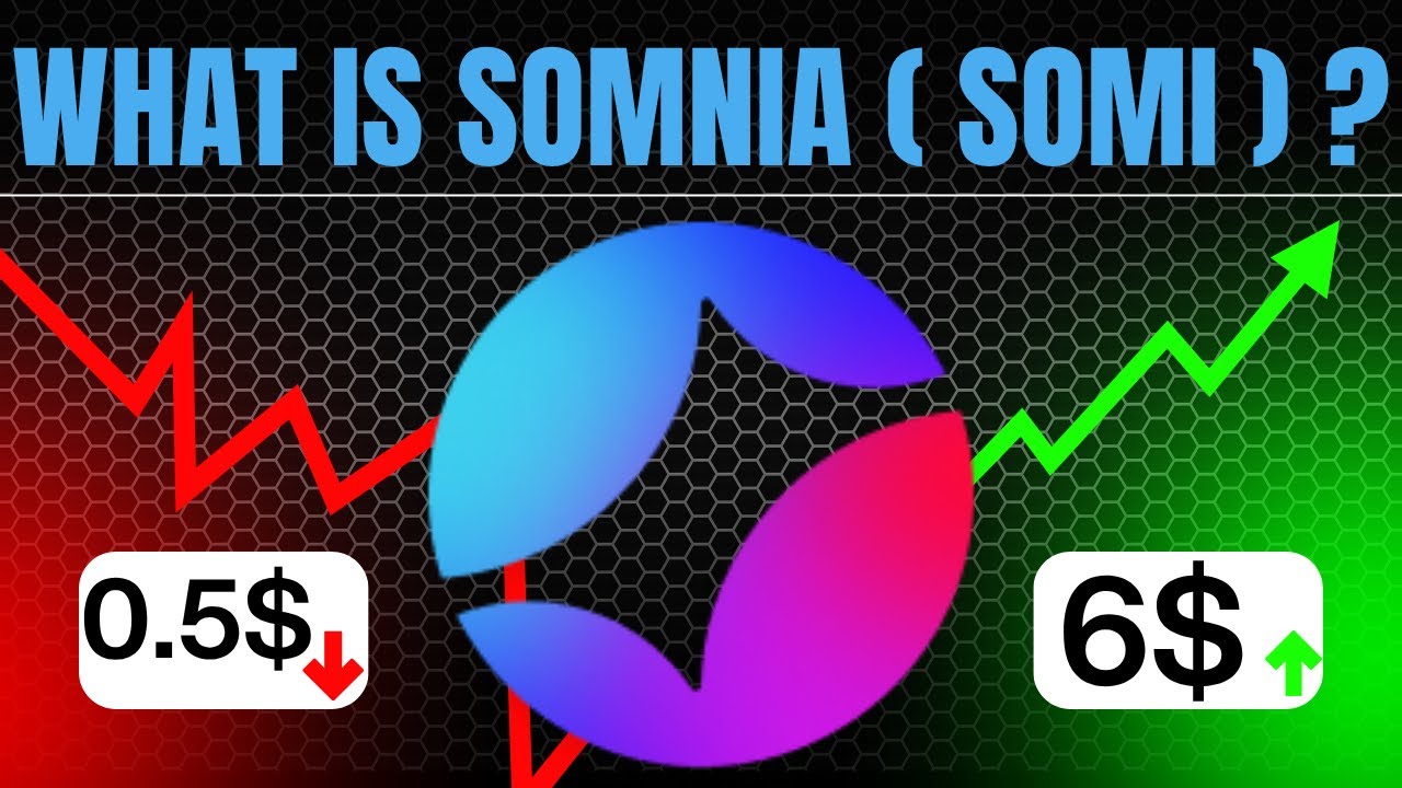 What is Somnia ( SOMI ) Coin ? The Blockchain Aiming for 1M TPS and the ...
