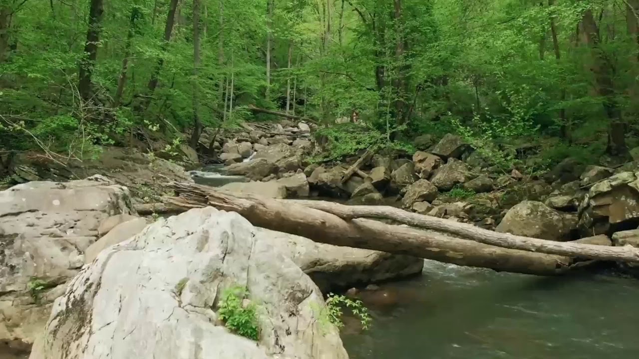 Amazing Nature Experience at 4k 60fps - YouTube