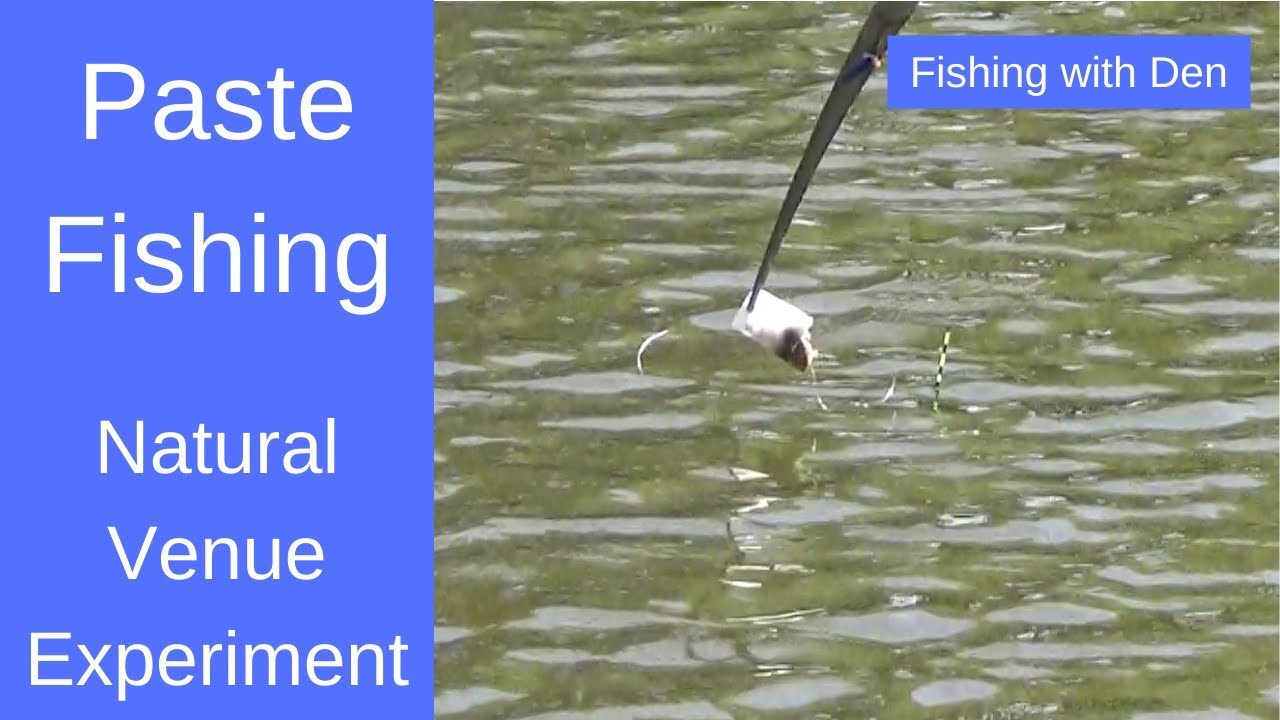 Paste Fishing - Does it Work on a Natural Venue? - YouTube