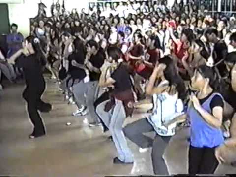PASO CHAN  CRUDO  bundinha -colitas