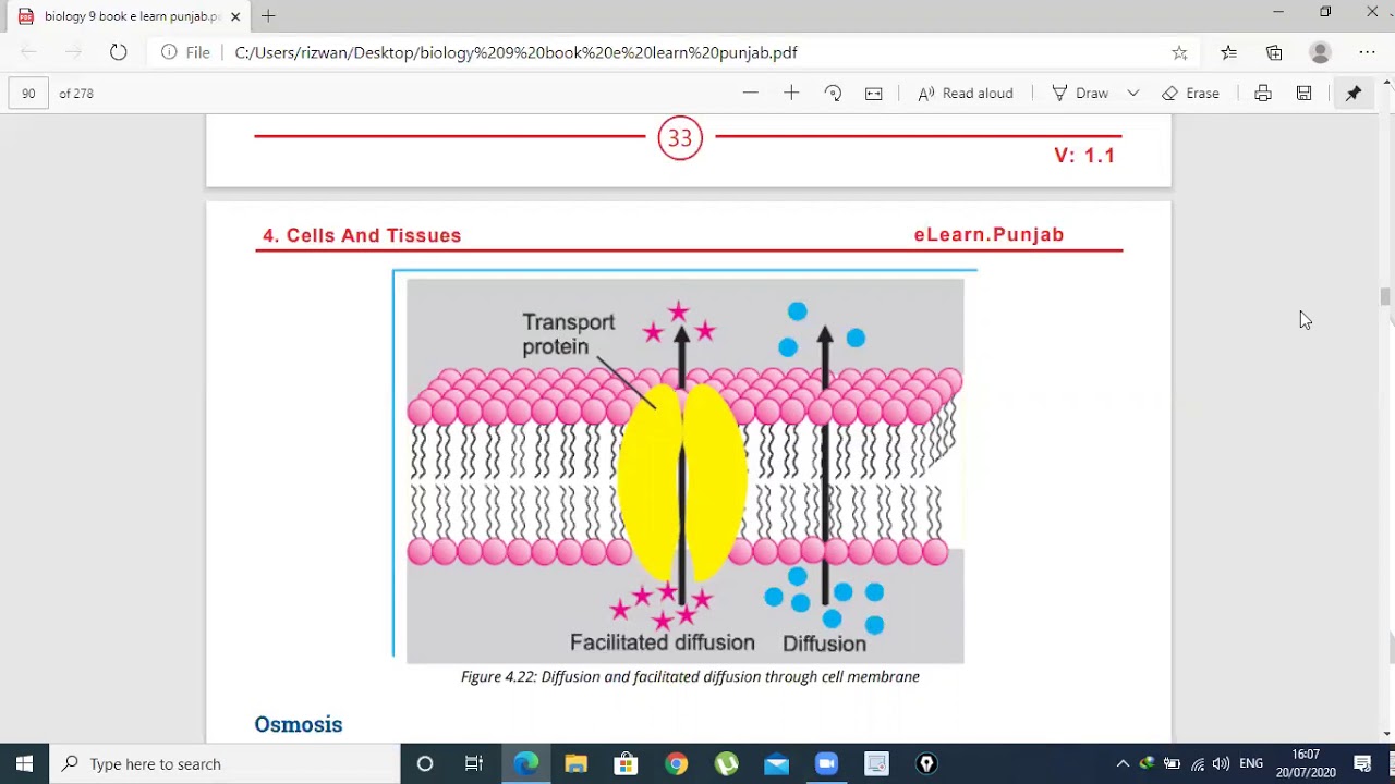 Facilated Diffusion Youtube 3627