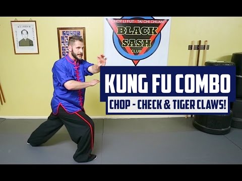 Kung Fu Combo - Chop - Check & Tiger Claws! - YouTube