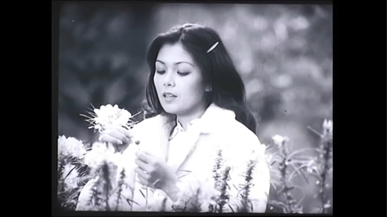 Đợi Chờ (1986) Full HD Thẩm Thuý Hằng NSND Thế Anh Phim Tình Cảm Việt ...