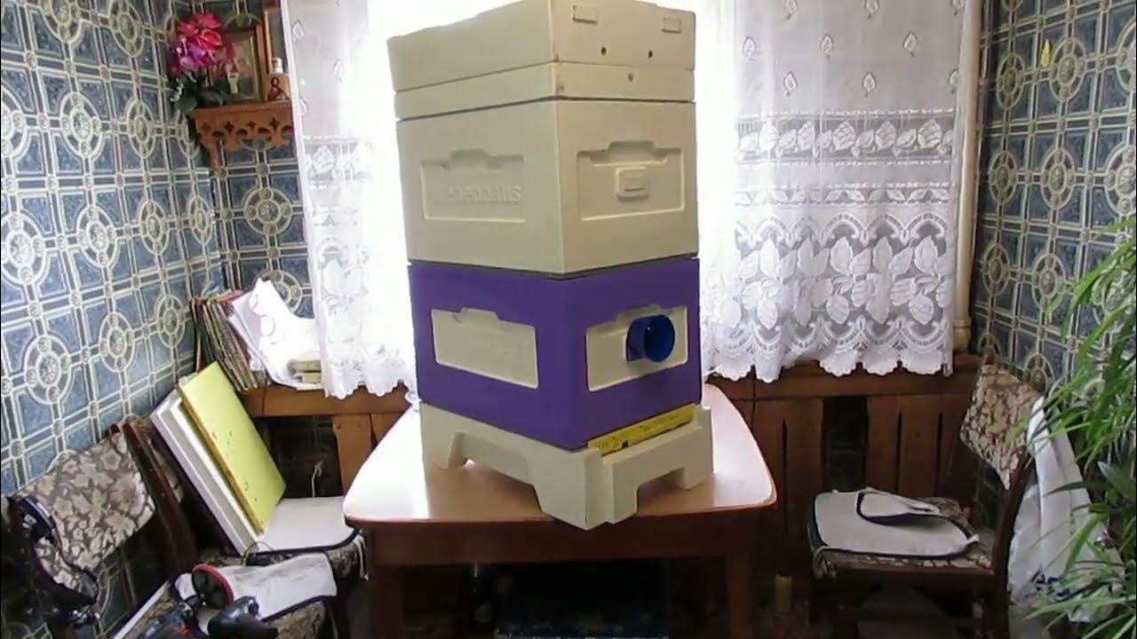 выбор улья для пчел, разновидность улья Кука , два корпуса по 8 рамок ...